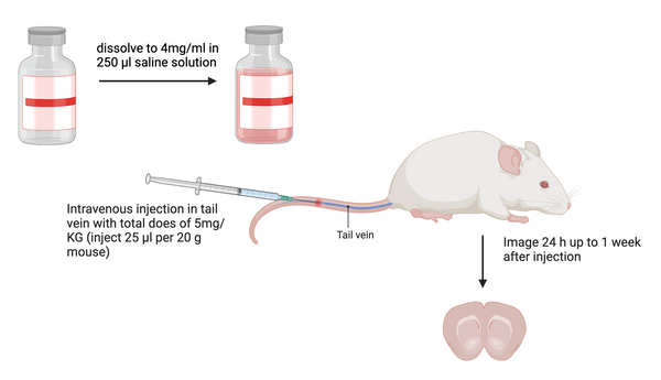 Amytracker for systemic injection – Ebba Biotech AB