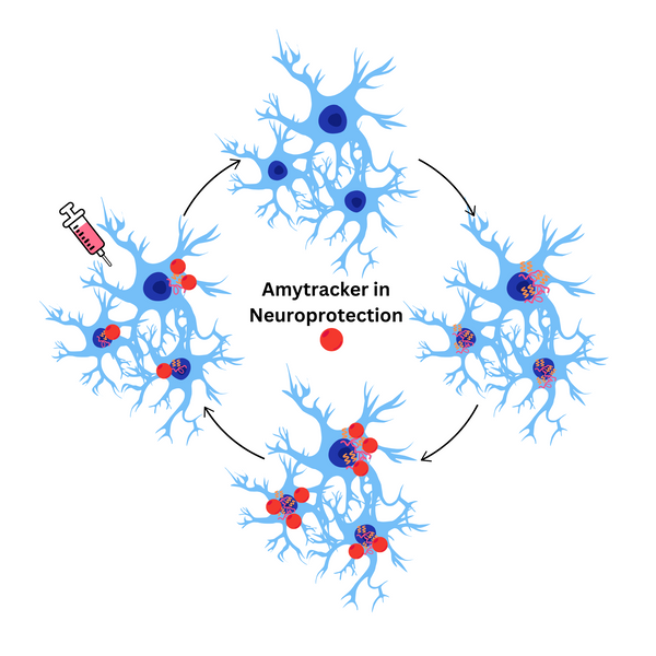 Amytracker in action for Neuroprotection – Ebba Biotech AB