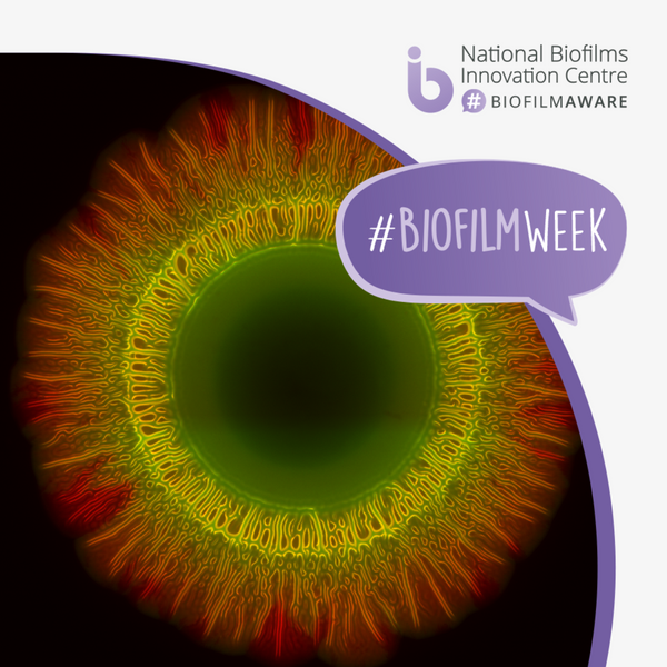 Biofilm week 2023 – Ebba Biotech AB